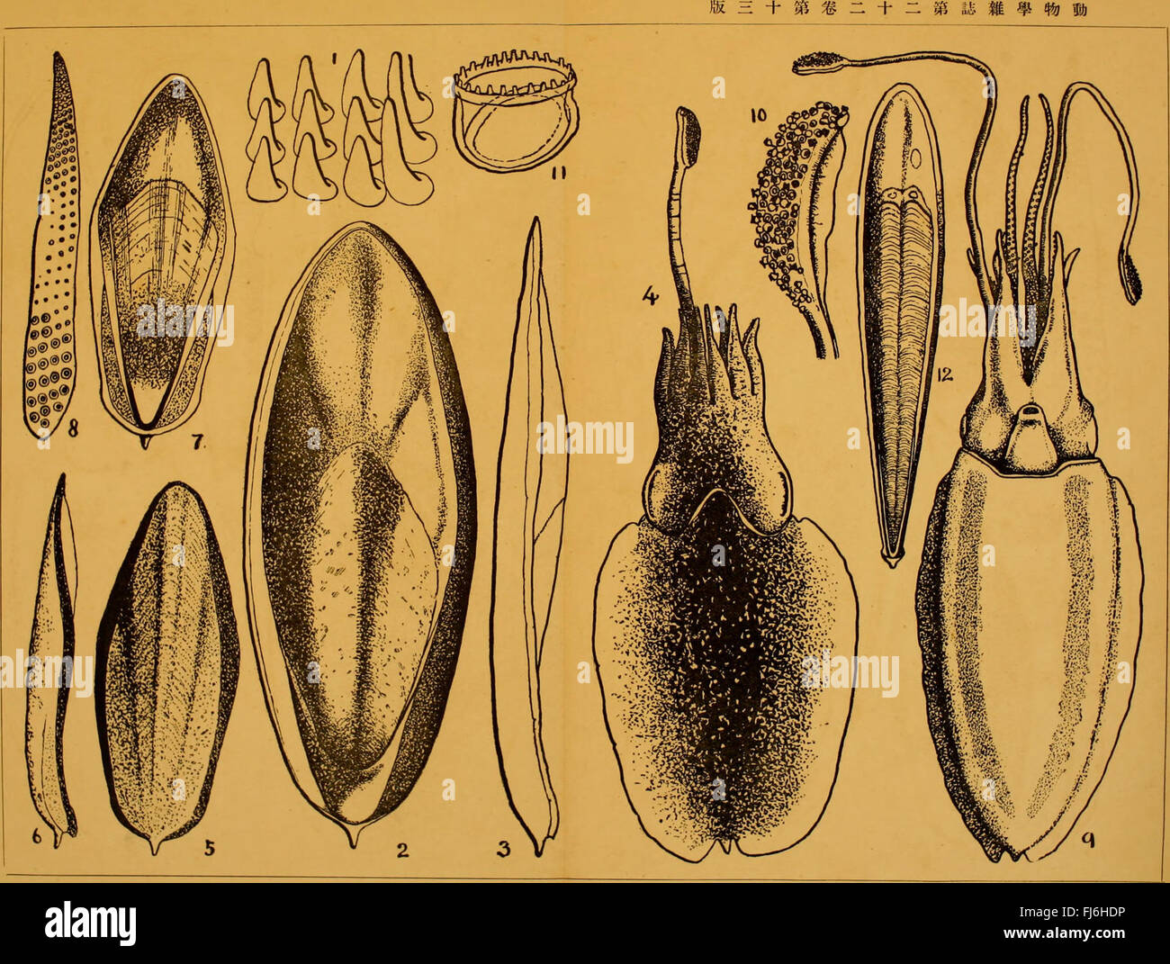 A journal on zoology and animal science, focusing on animal studies and ...