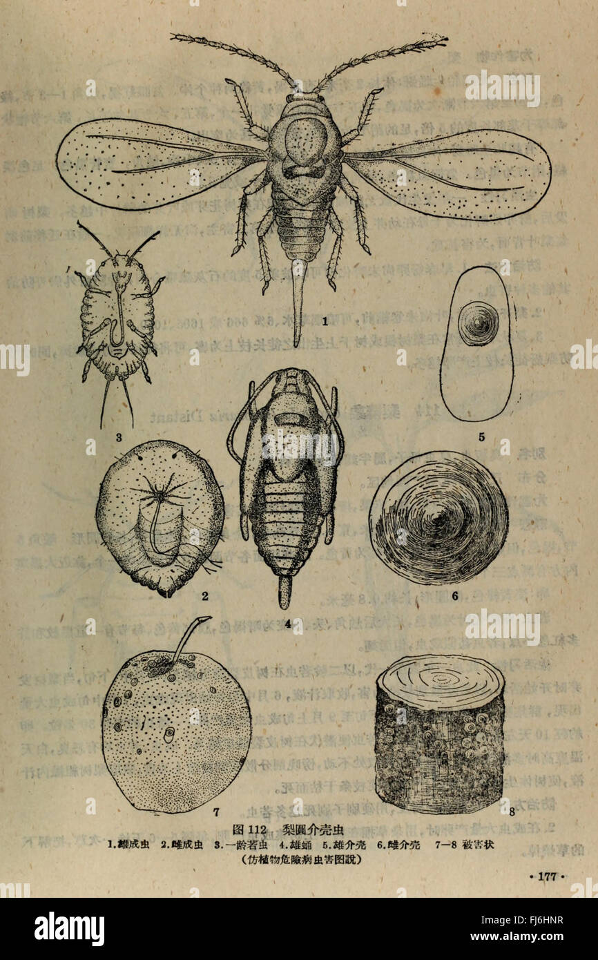 1959 Chinese agricultural entomology study on crop pests of Northeast ...