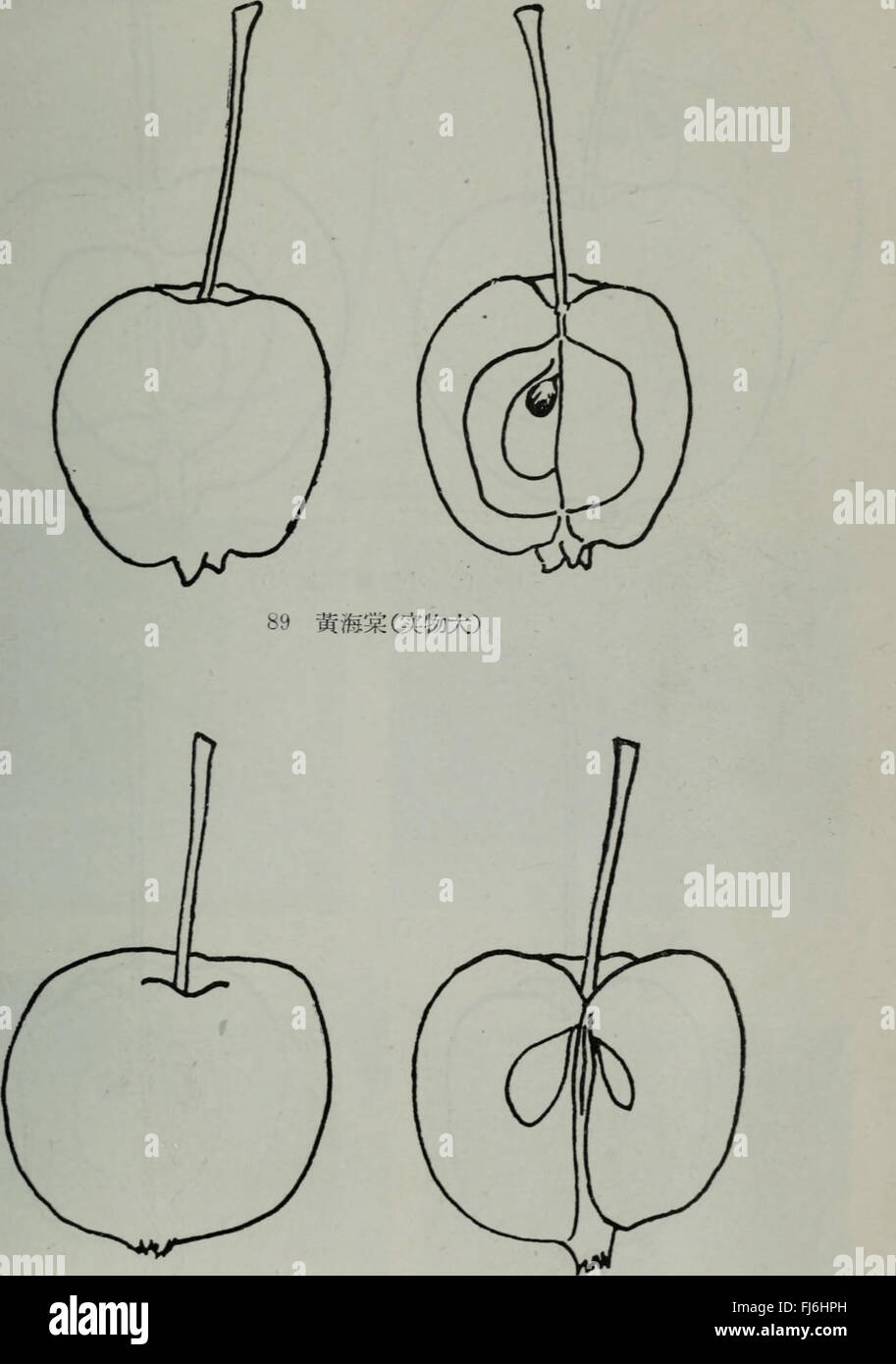 Guo font hi-res stock photography and images - Alamy