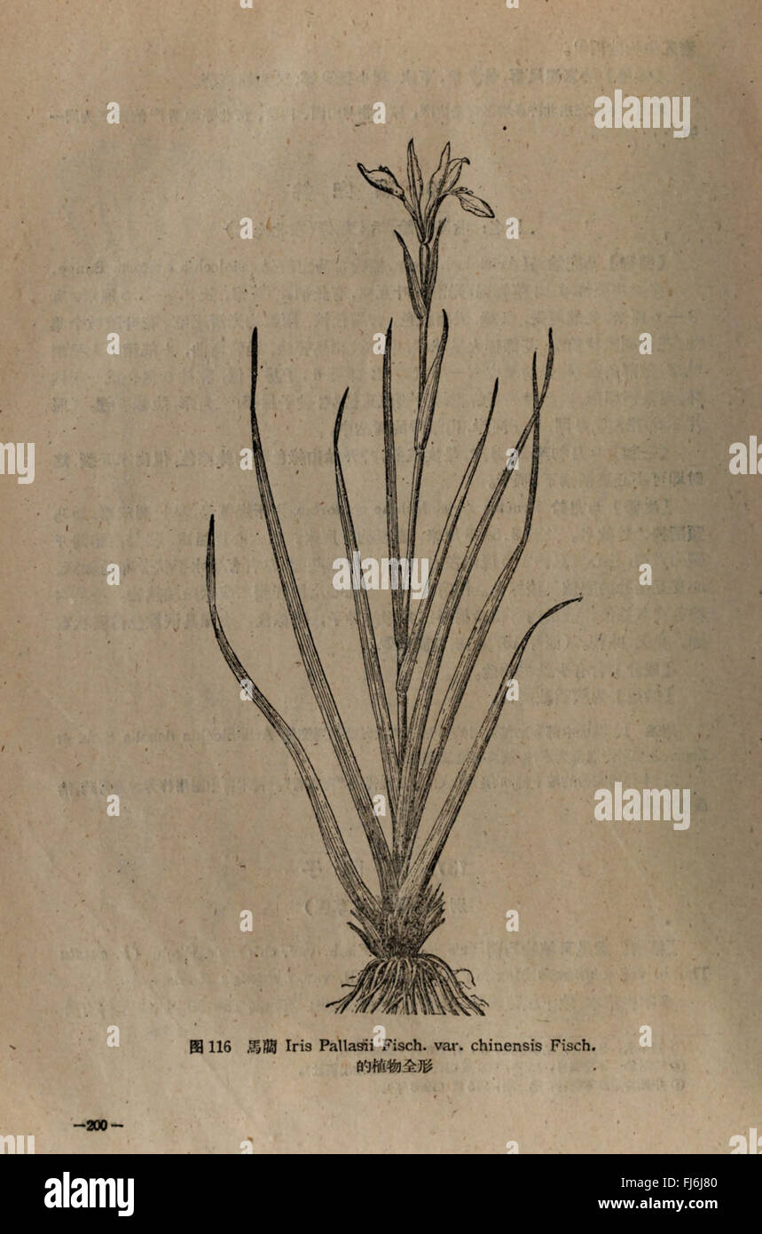 Yao letter hi-res stock photography and images - Alamy