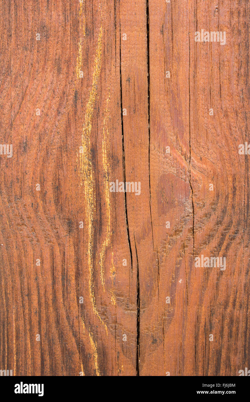 Closeup of wood texture with natural pattern Stock Photo - Alamy