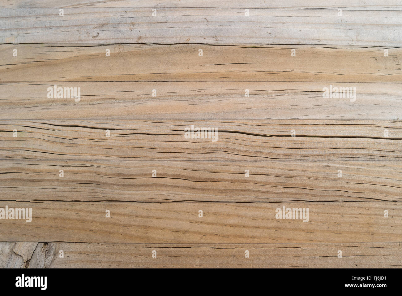 Closeup texture of wood background closeup Stock Photo - Alamy