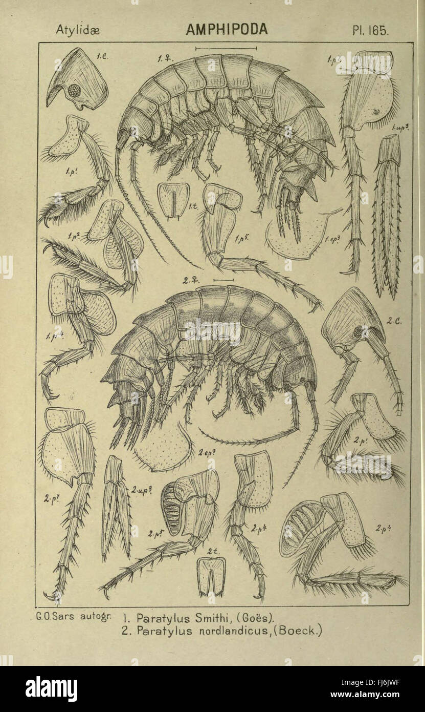 A study of the crustaceans found in Norway, documenting species ...
