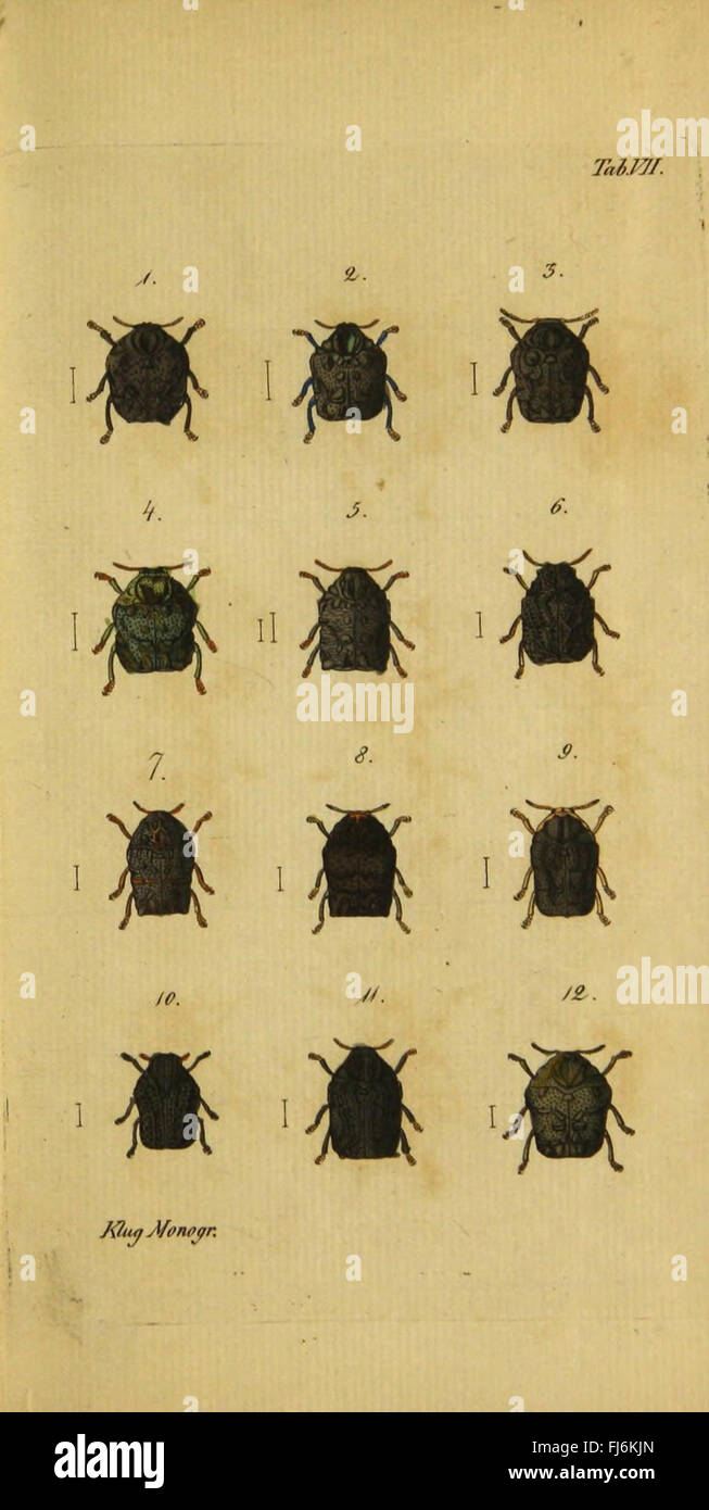 Entomological fieldwork hi-res stock photography and images - Alamy