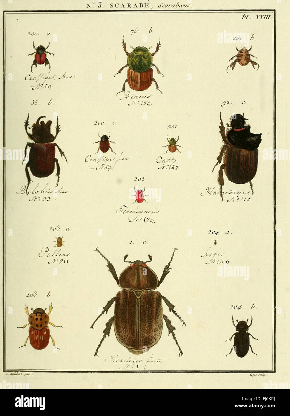 This entomology collection at the Smithsonian Institution Libraries ...