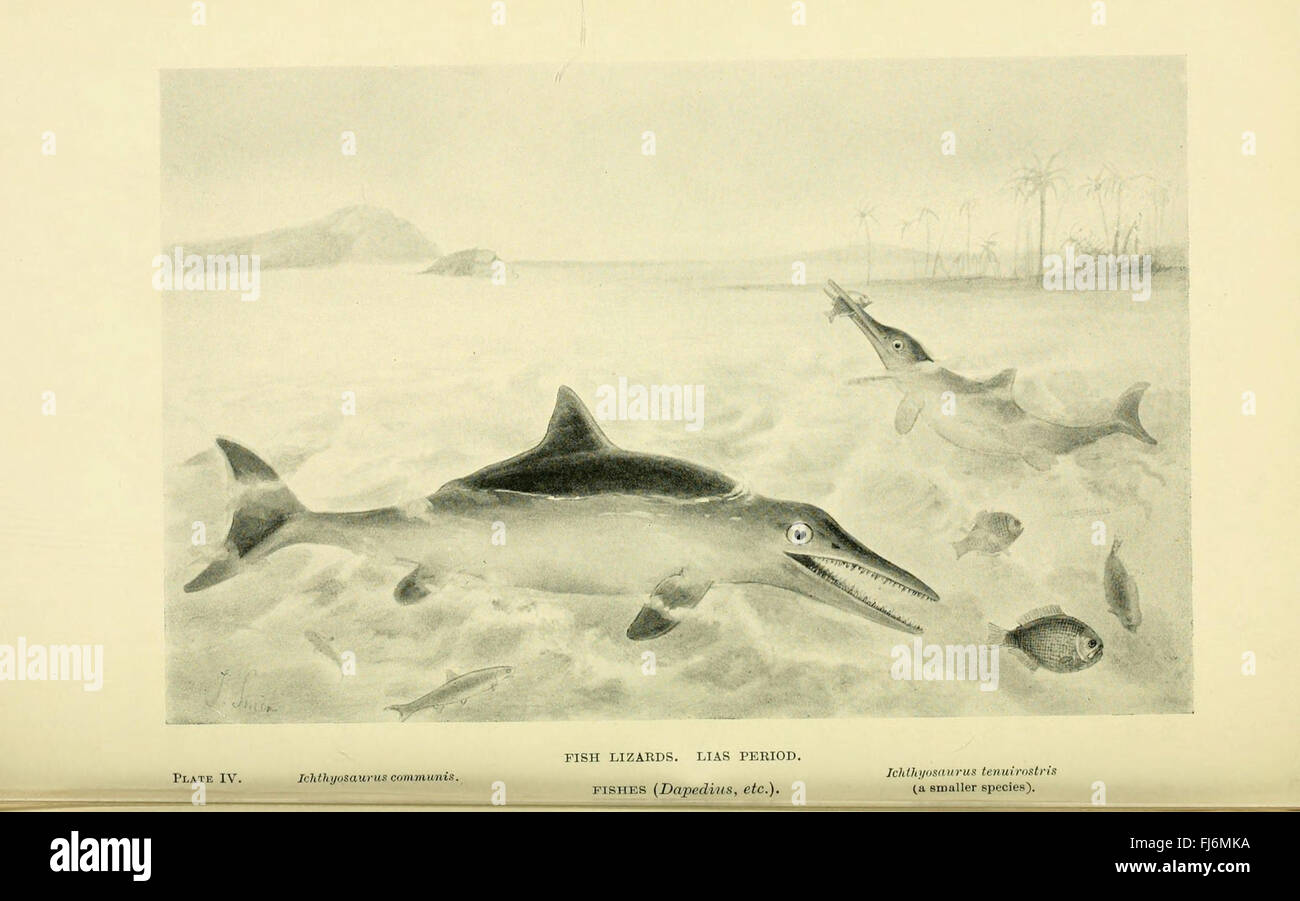 Extinct monsters and other creatures hi-res stock photography and ...