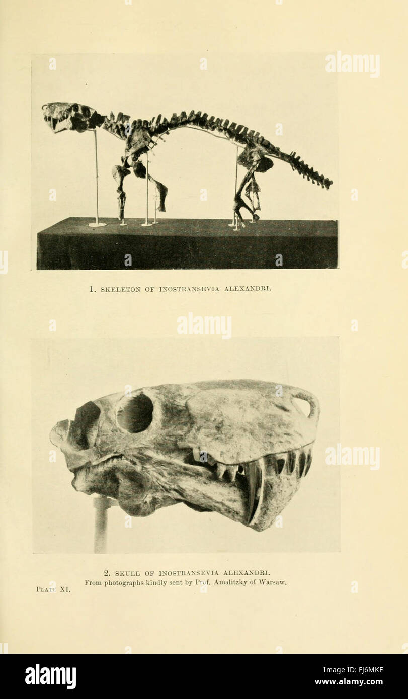 A paleontological exploration of extinct creatures, providing insight ...