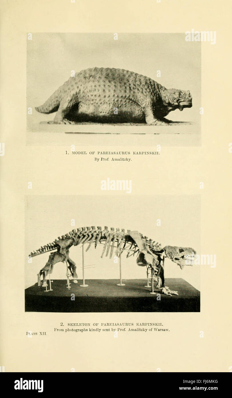 Extinct monsters and creatures of other days ,Ernst Mayr Library ...