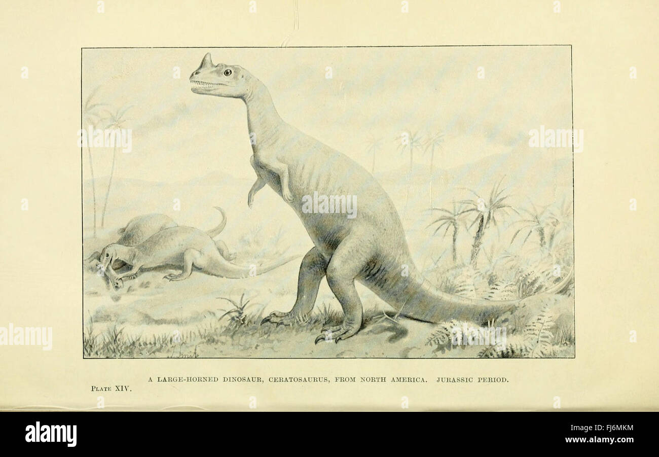 Extinct monsters and creatures of other days Stock Photo - Alamy