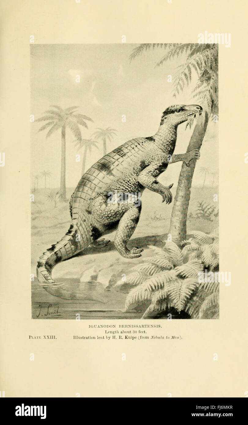 Extinct Monsters and Creatures of Other Days, a paleontological ...