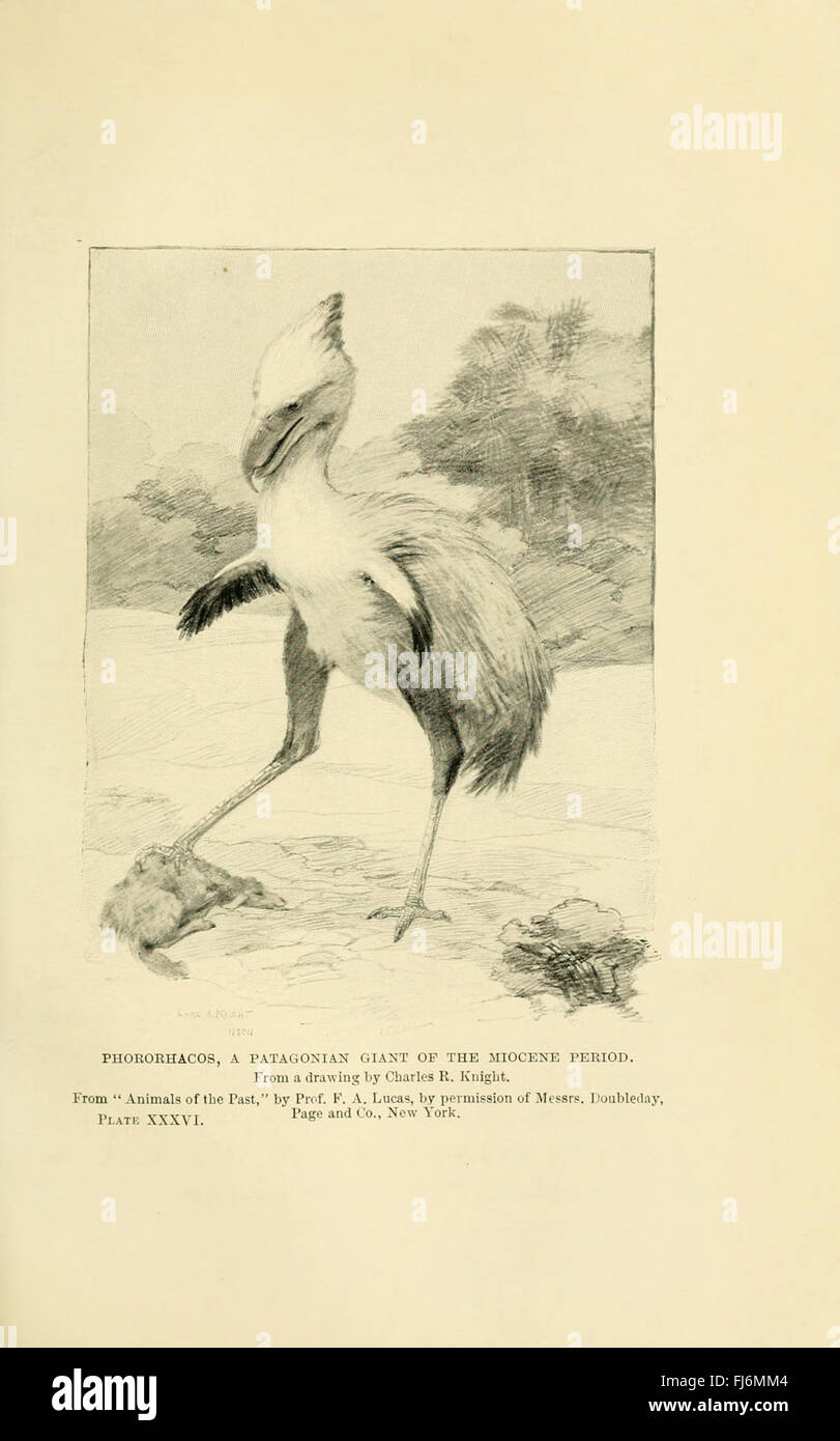 Extinct monsters and creatures of other days, Ernst Mayr Library ...