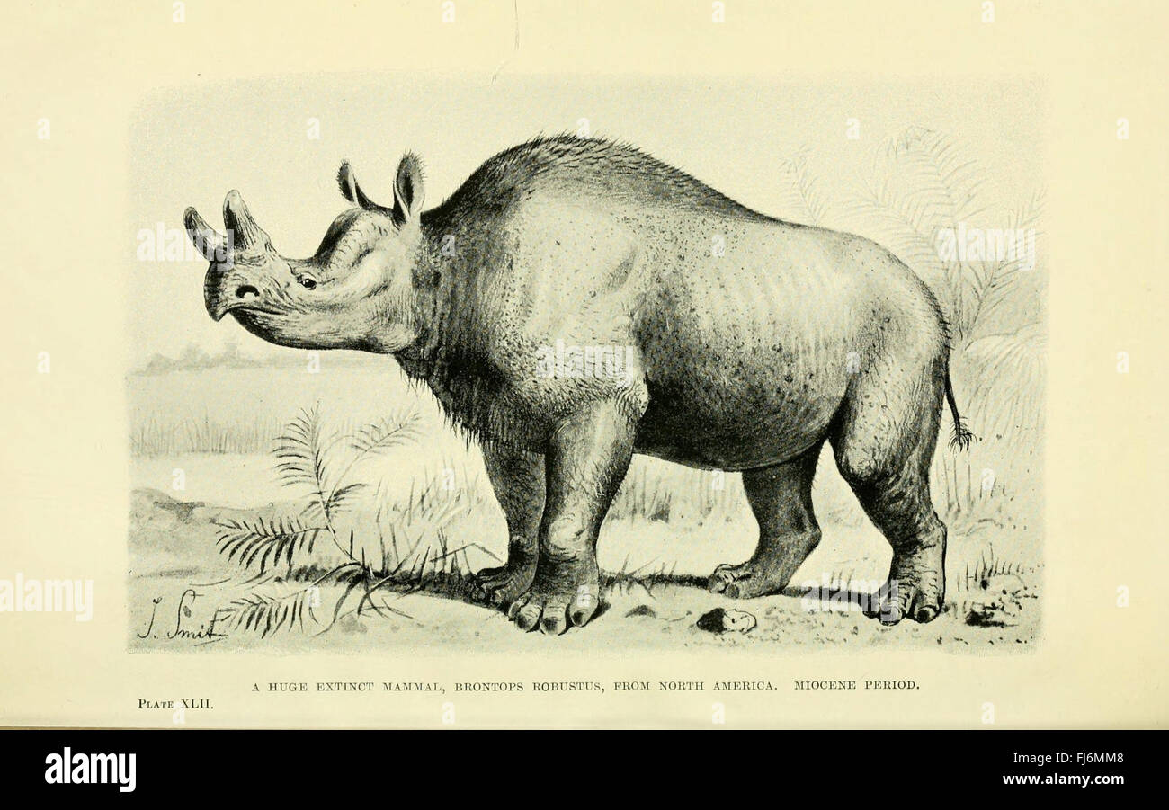 A study of extinct prehistoric creatures, including dinosaurs and other ...