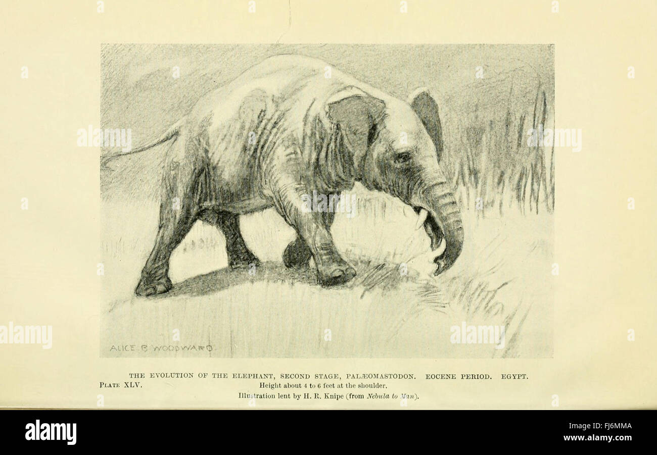 Extinct monsters and creatures of other days, Ernst Mayr Library ...