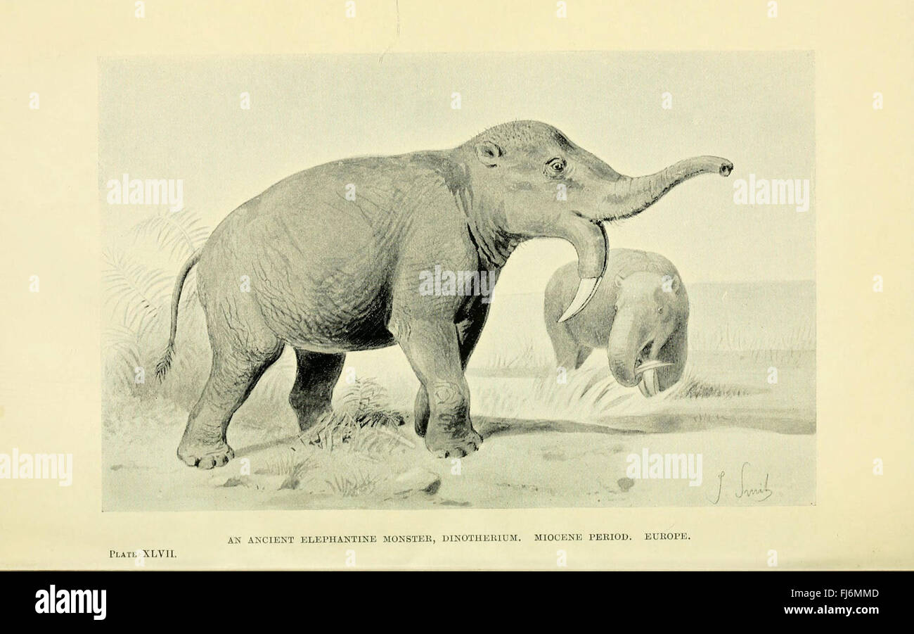 A comprehensive study of extinct creatures, featuring ancient species ...