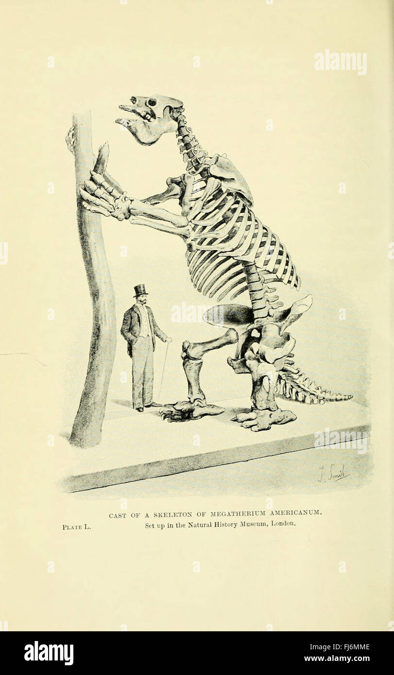 Extinct Monsters and Creatures of Other Days - A paleontological work ...