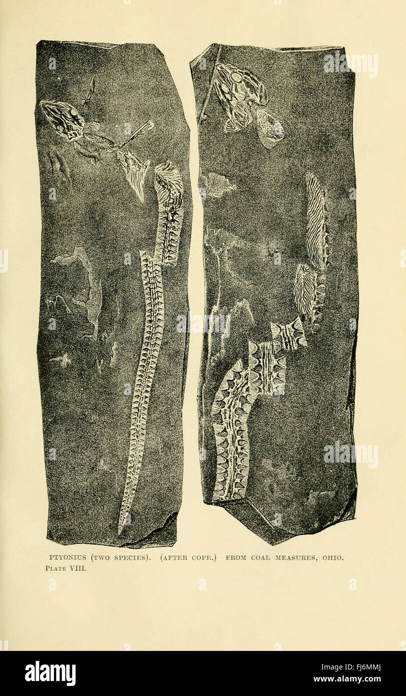 Extinct monsters and creatures of other days, Ernst Mayr Library ...