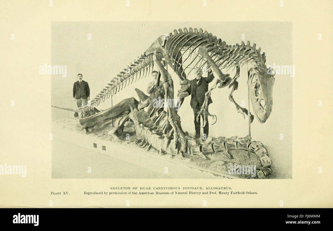 A historical and paleontological study of extinct animals and creatures ...