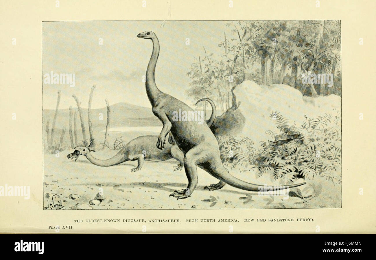 A collection of illustrations and research on extinct creatures from ...