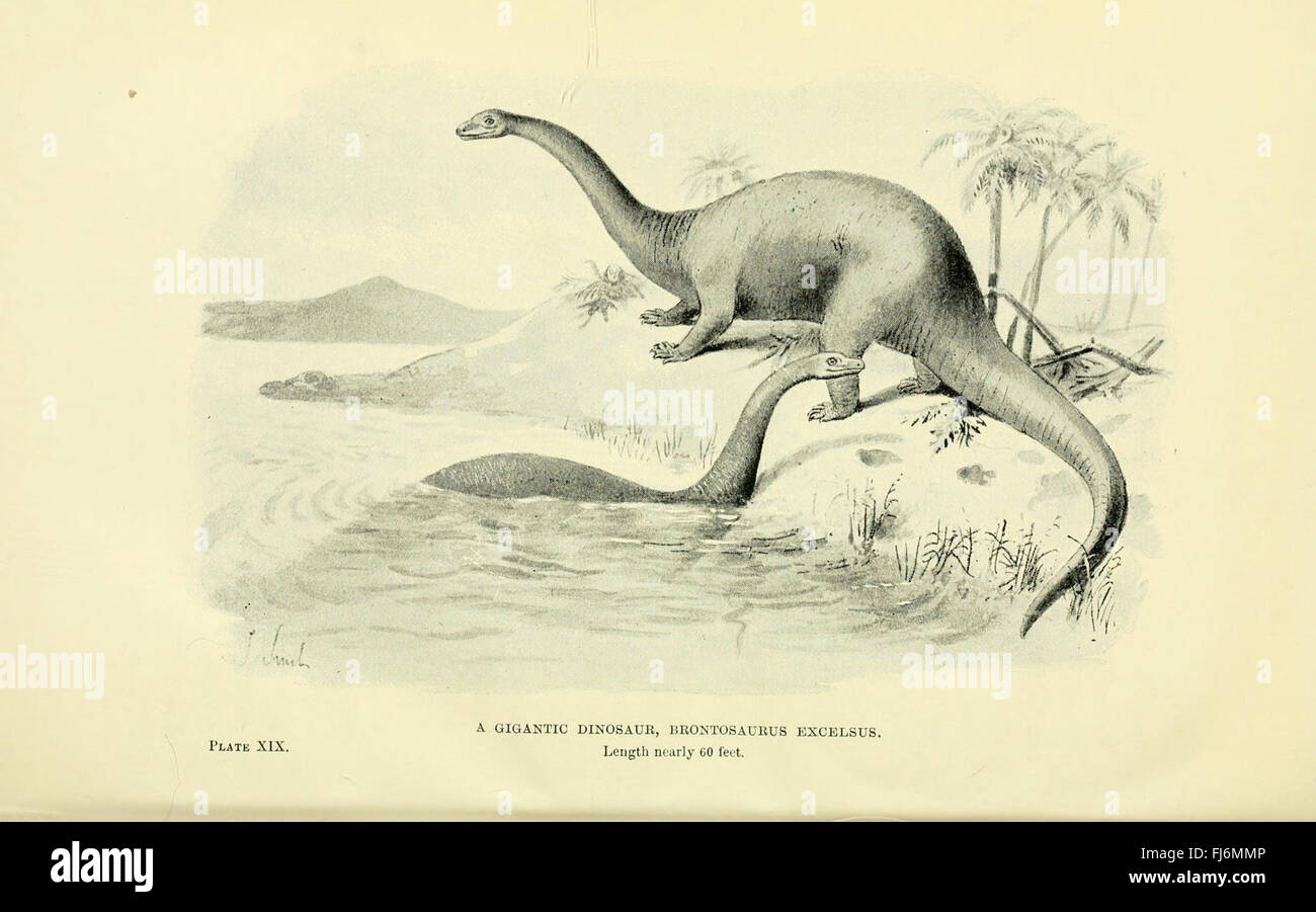 Exploration of extinct animals, showcasing prehistoric creatures from ...