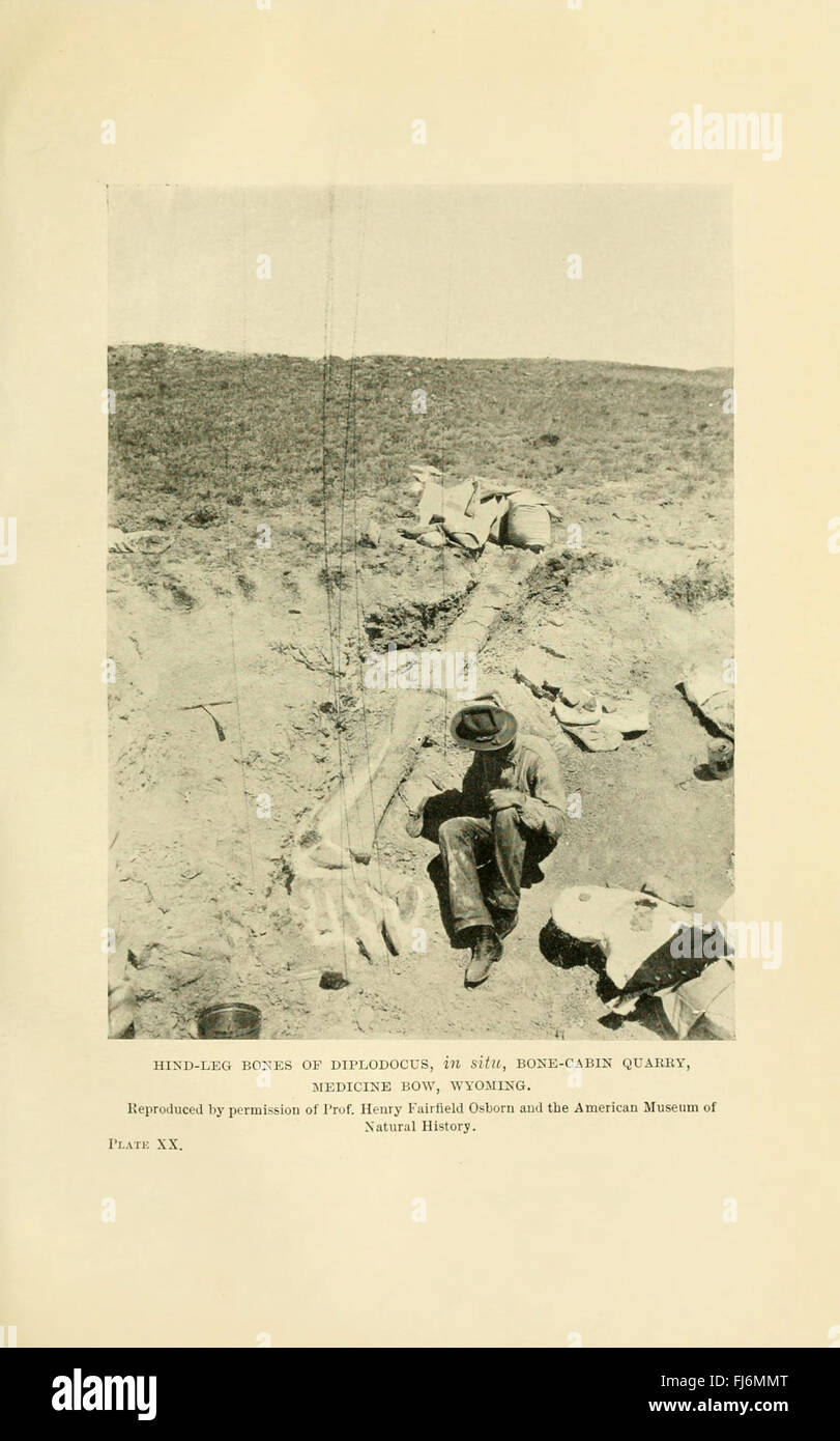 Dinosaur extinction theories hi-res stock photography and images - Alamy