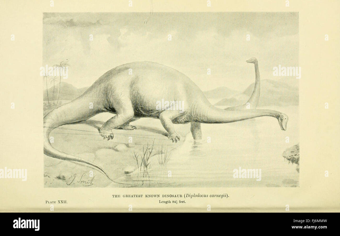 Extinct Monsters High Resolution Stock Photography and Images - Alamy