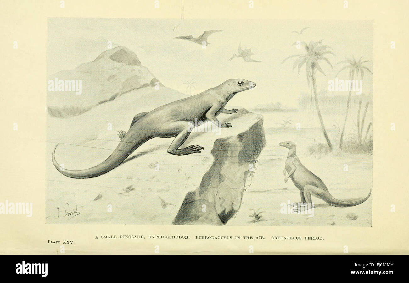 A work focusing on extinct animals and mythical creatures, exploring ...