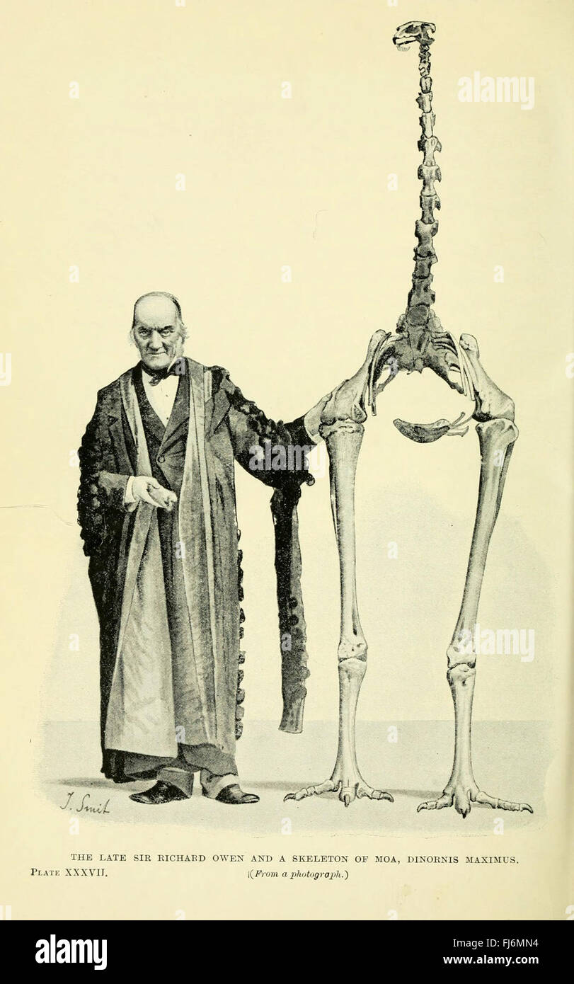 A depiction of extinct animals and prehistoric creatures, providing ...