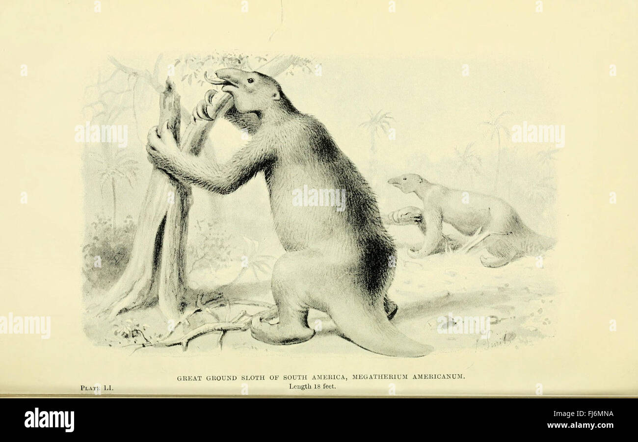 Extinct Monsters and Creatures of Other Days, a paleontological study ...