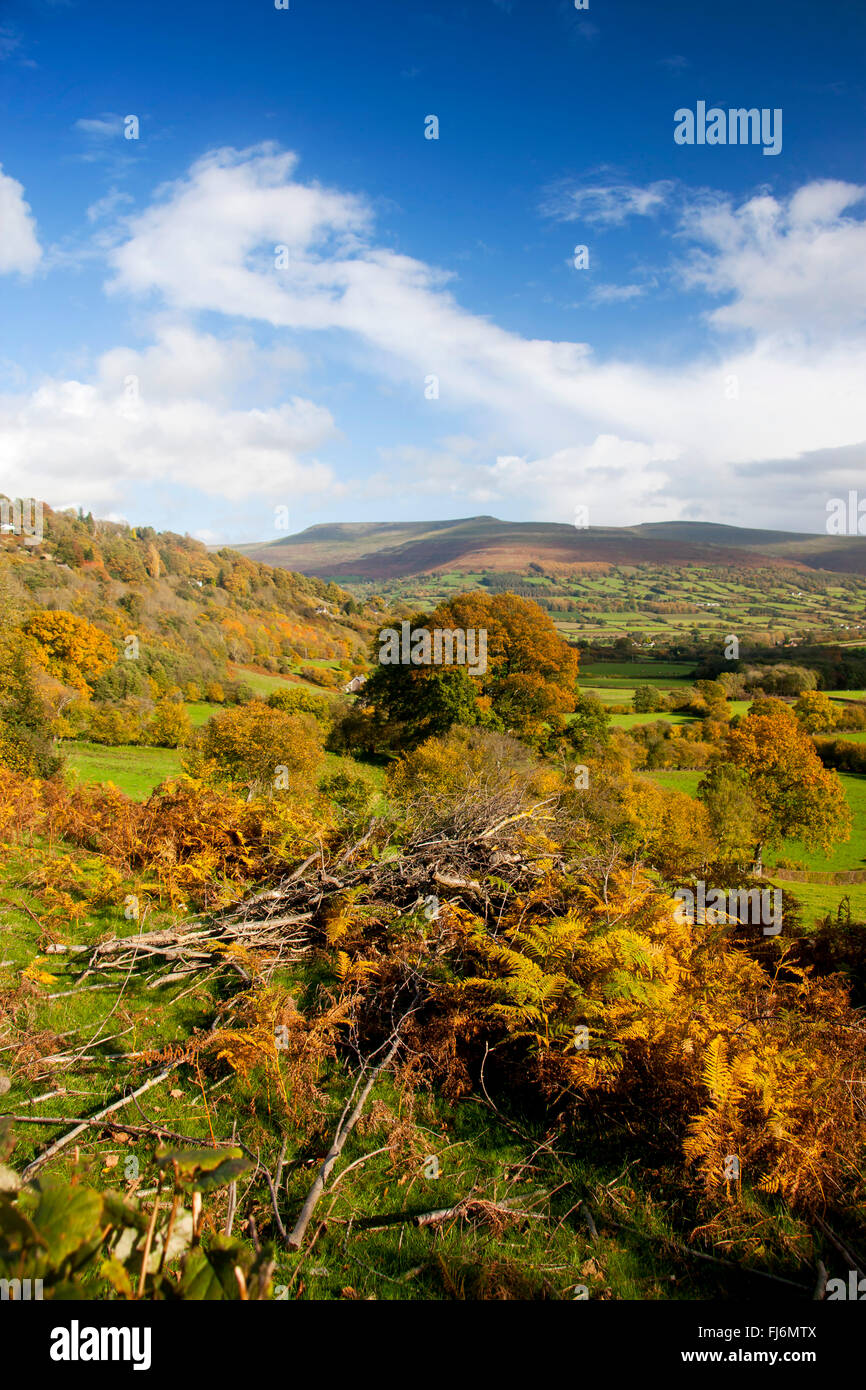 Brecon Beacons Black Mountains Pen Cerrig Calch in autumn from near ...