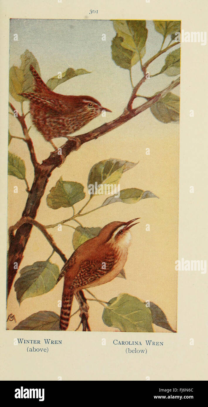 Field notes hi-res stock photography and images - Alamy