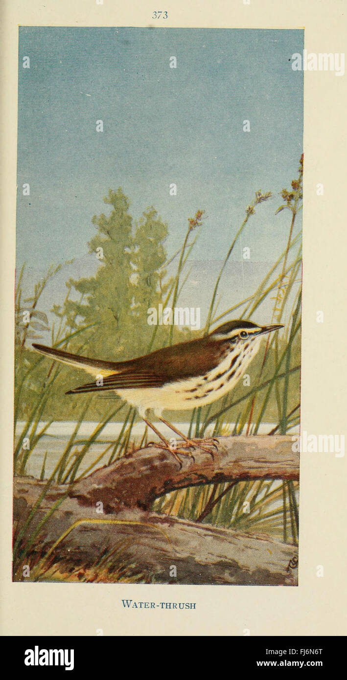 A comprehensive guide to wild birds and their songs, detailing bird ...