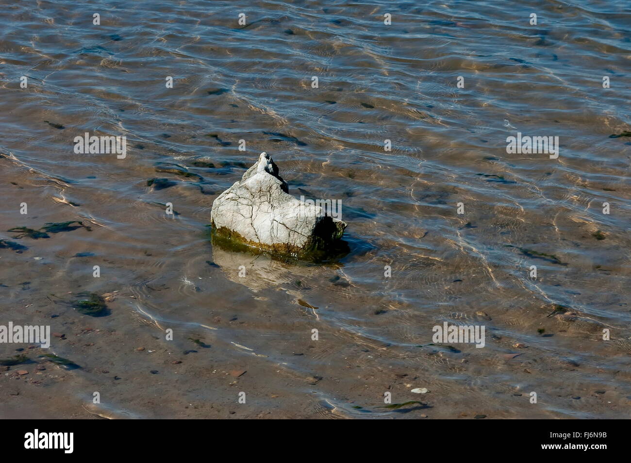 Authentic shore at Rabisha lake near by Magura cave, Belogradchik ...