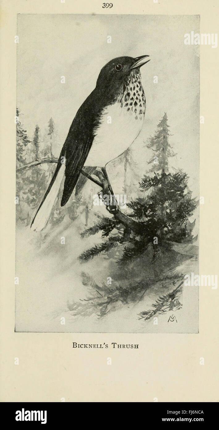 A field guide documenting wild birds and their songs, providing an ...