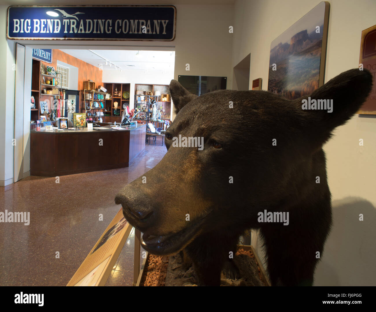 Alpine, Texas - Museum of the Big Bend at Sul Ross State University ...