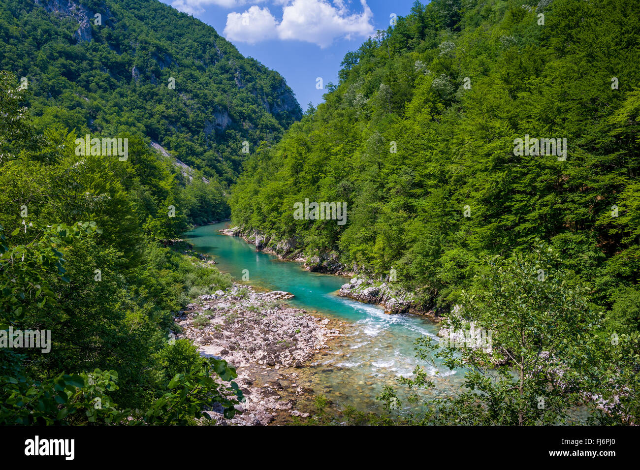 Tara river canyon hi-res stock photography and images - Alamy