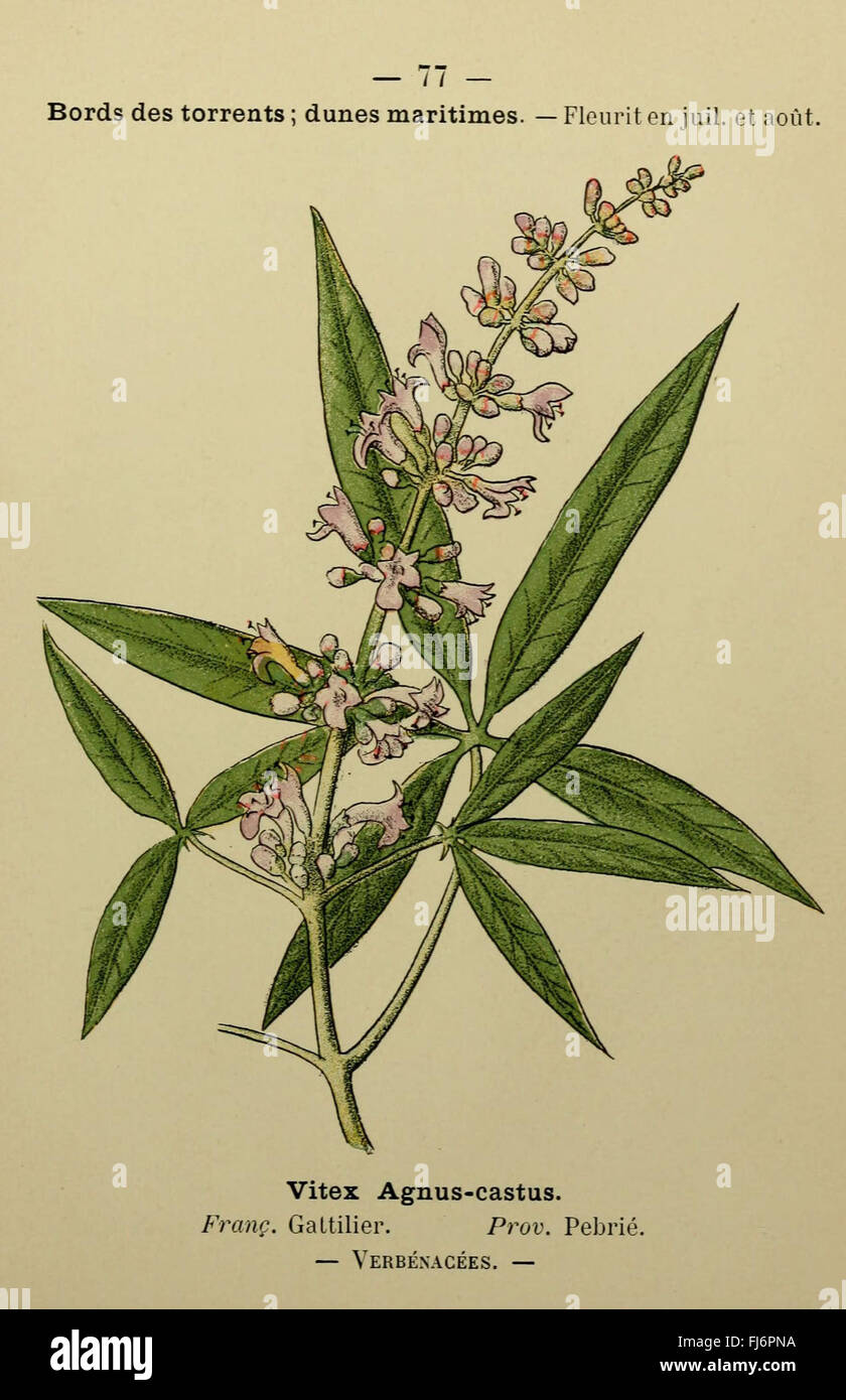 A pocket-sized illustrated flora guide covering the Mediterranean coastline from Genoa to ...