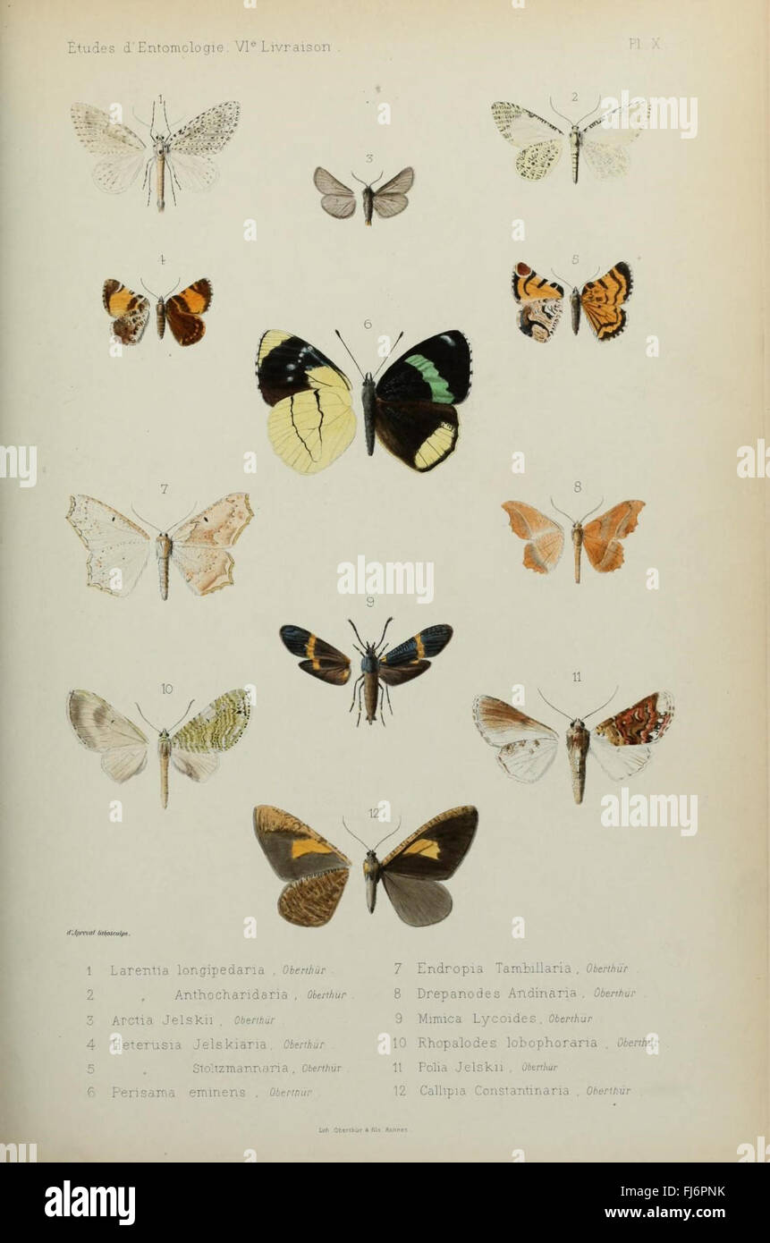 Entomology studies focusing on the research of Lepidoptera ...