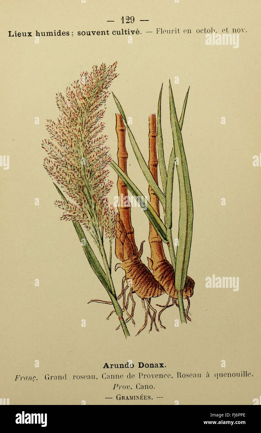 An illustrated pocket flora guide to the Mediterranean coastal regions from Genoa to Barcelona ...