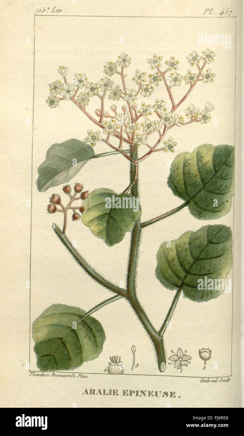 Botany, medicinal plants, West Indies, medical botany, plant ...