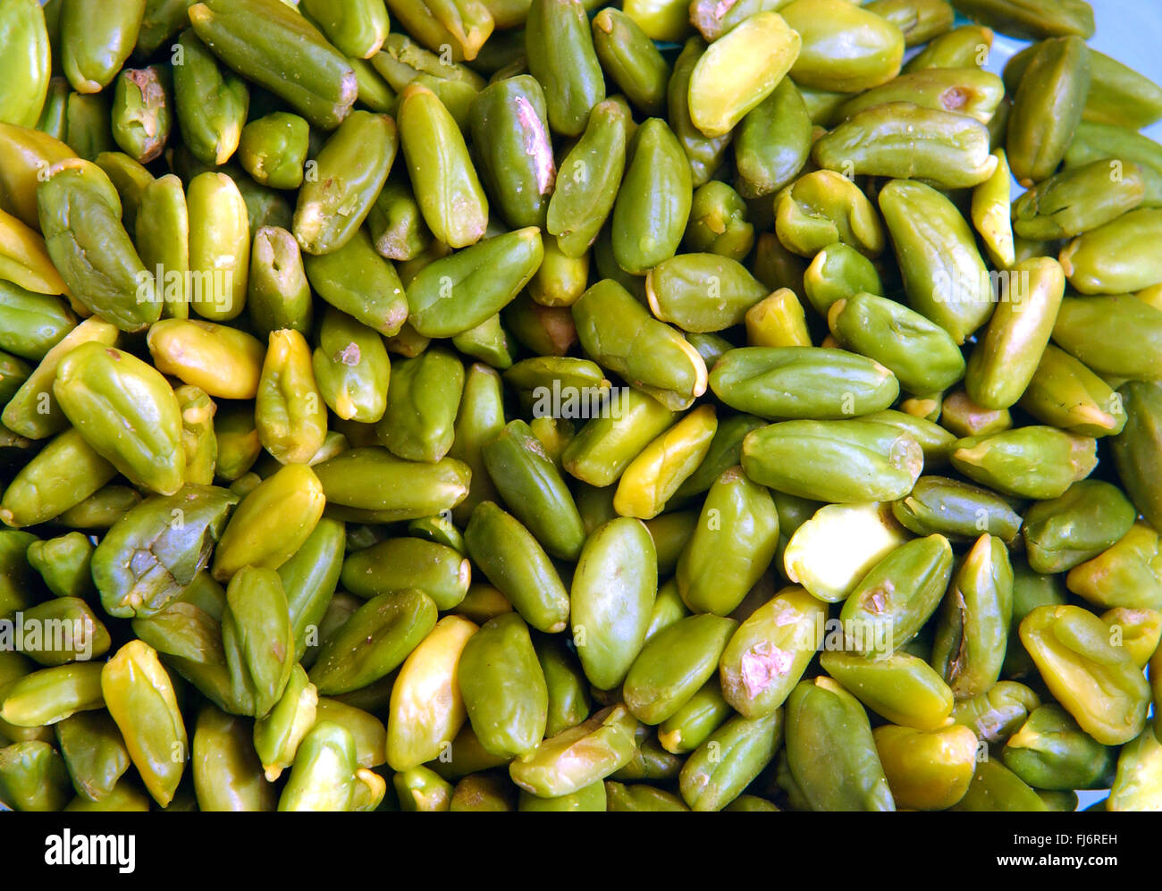 Sicilia pianta hi-res stock photography and images - Alamy