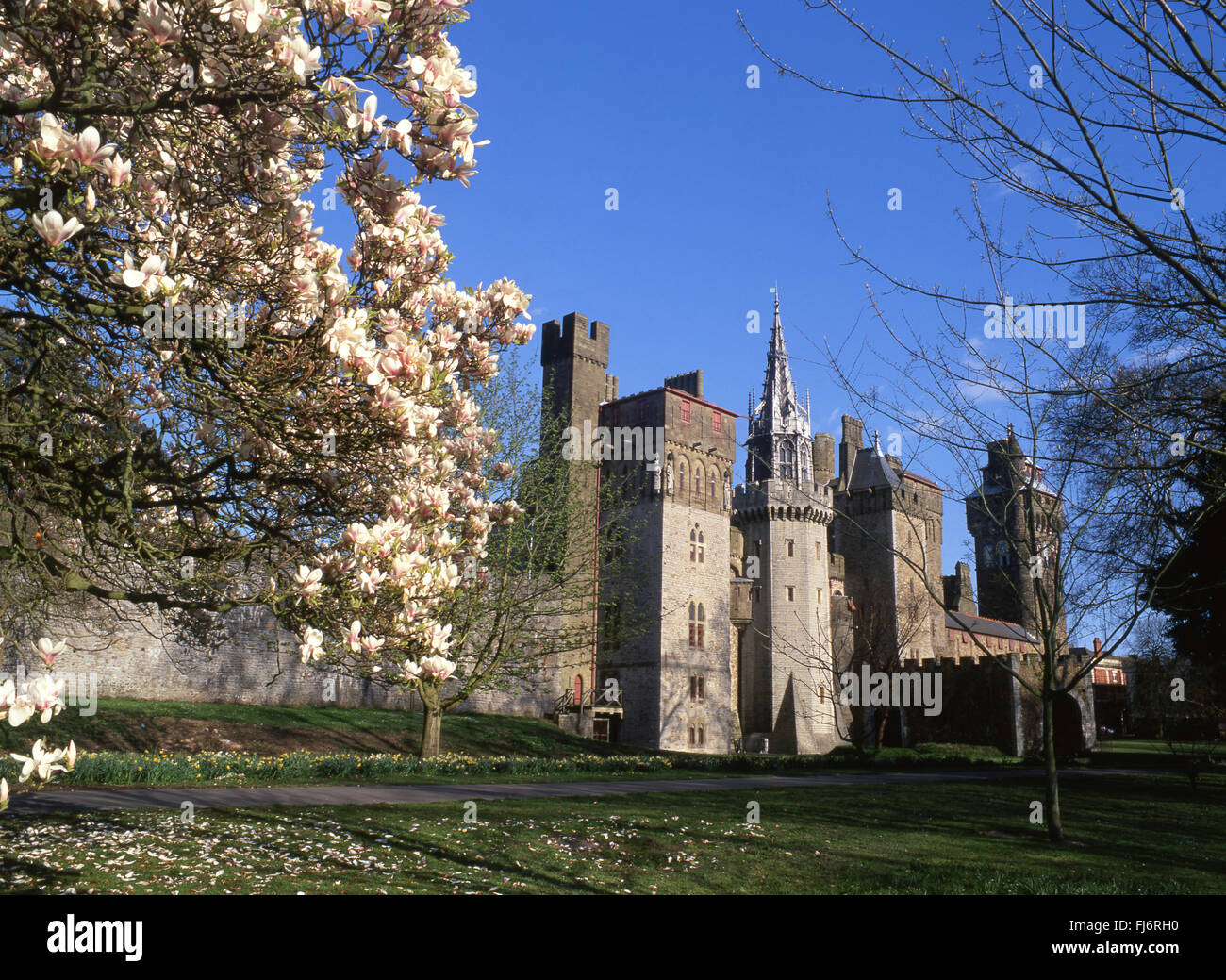 Visit cardiff castle hi-res stock photography and images - Alamy