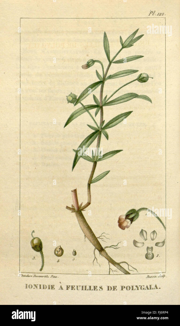 A botanical and medical reference detailing medicinal plants of the ...