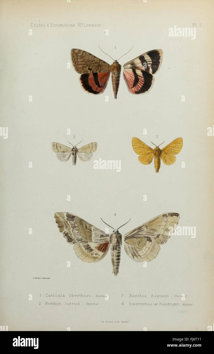 The California Academy of Sciences Library collection contains studies ...