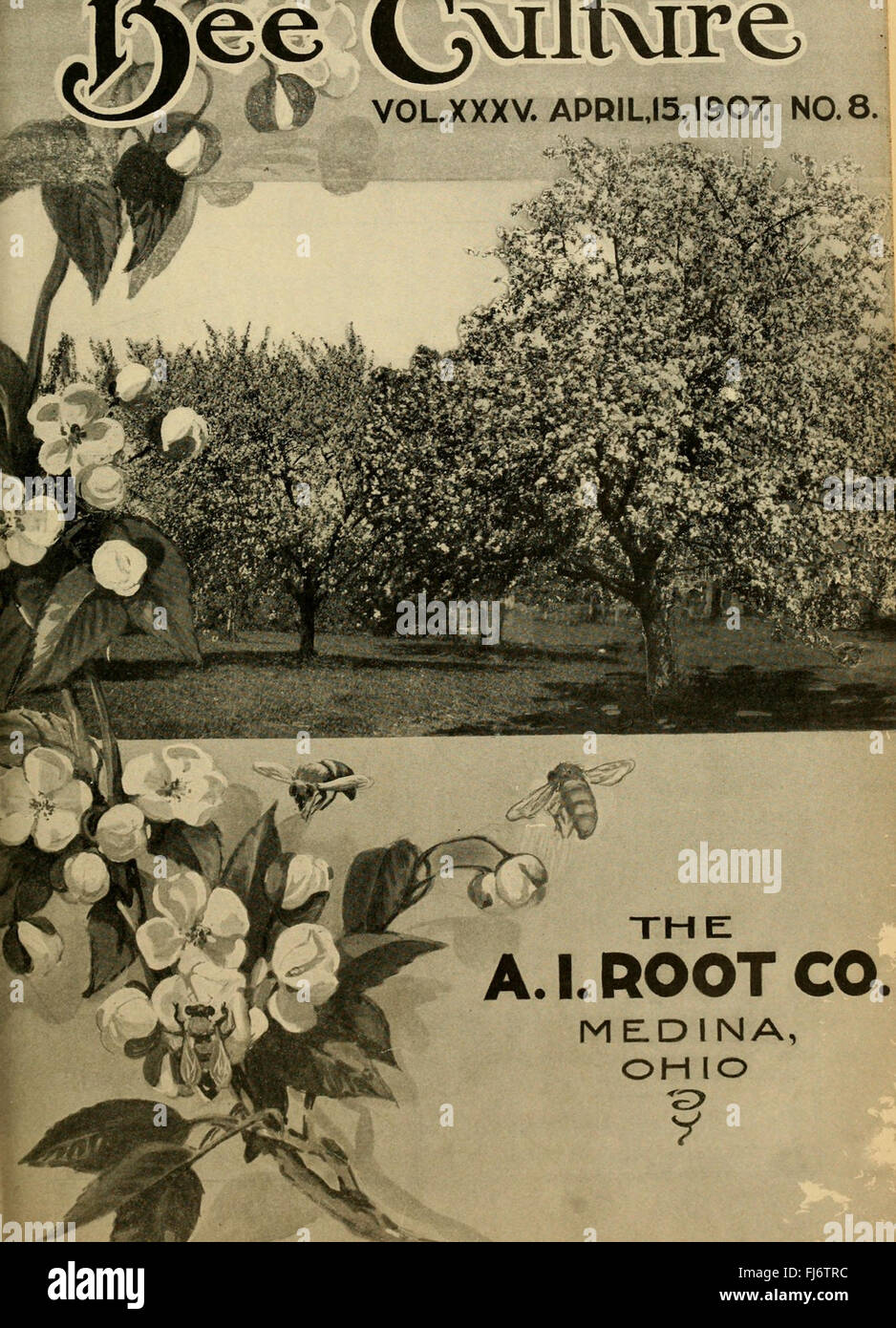 A comprehensive guide to the cultivation and care of bees, focusing on ...