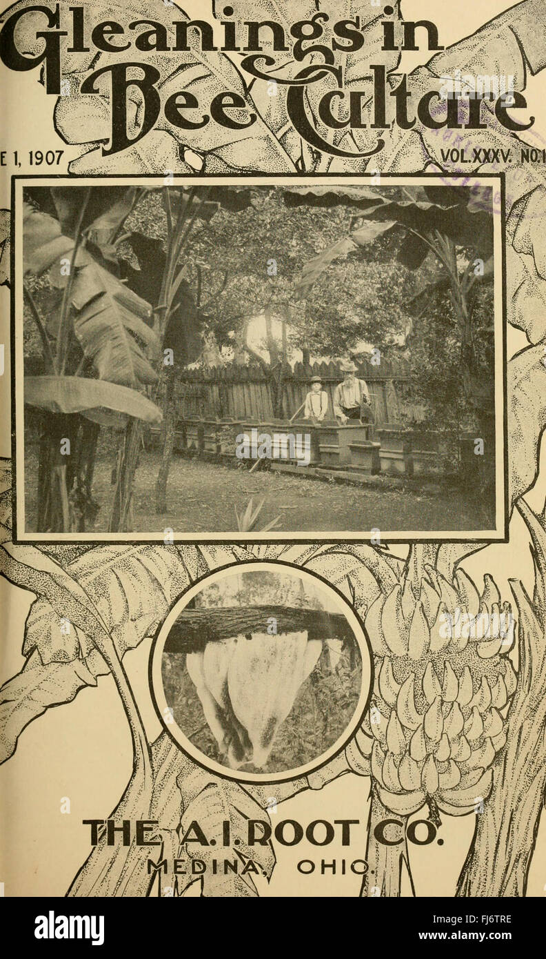 A comprehensive guide on bee culture, offering insights into beekeeping ...