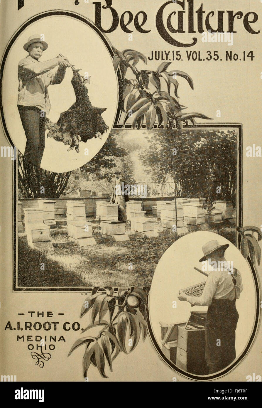 A comprehensive guide to beekeeping, covering techniques in bee ...