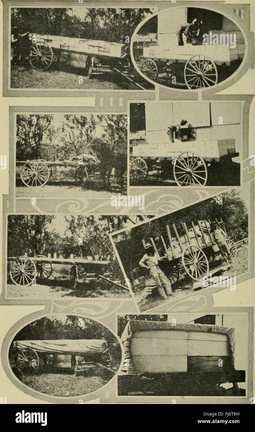 A comprehensive study from 1913 on the culture of bees, including their ...