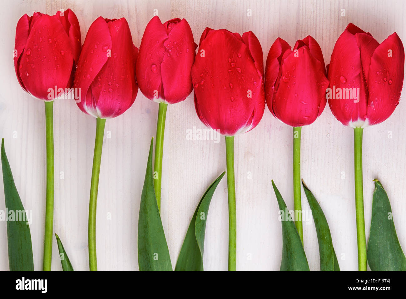 Straight line of light hi-res stock photography and images - Alamy