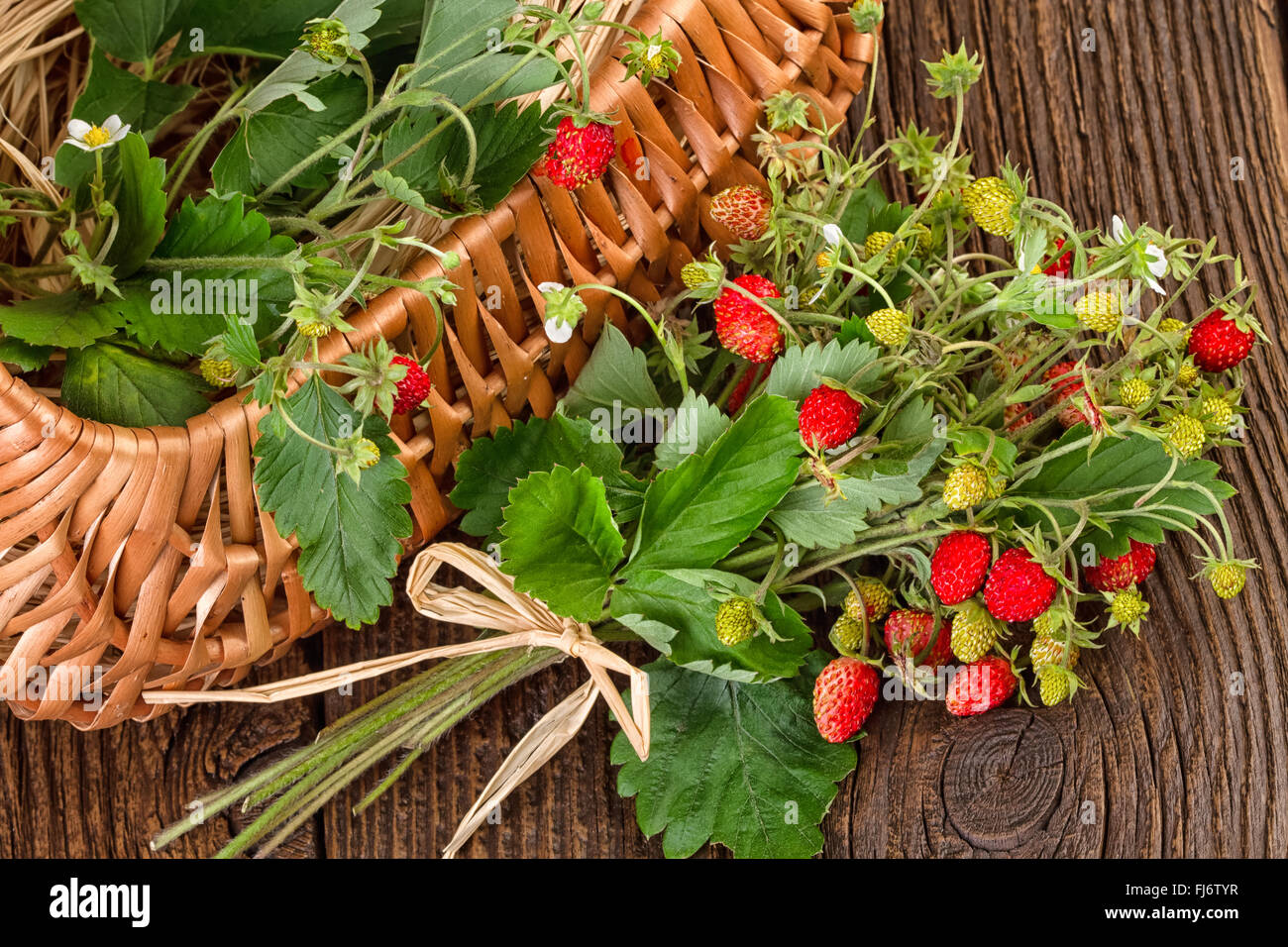 Basket wild strawberries hi-res stock photography and images - Alamy