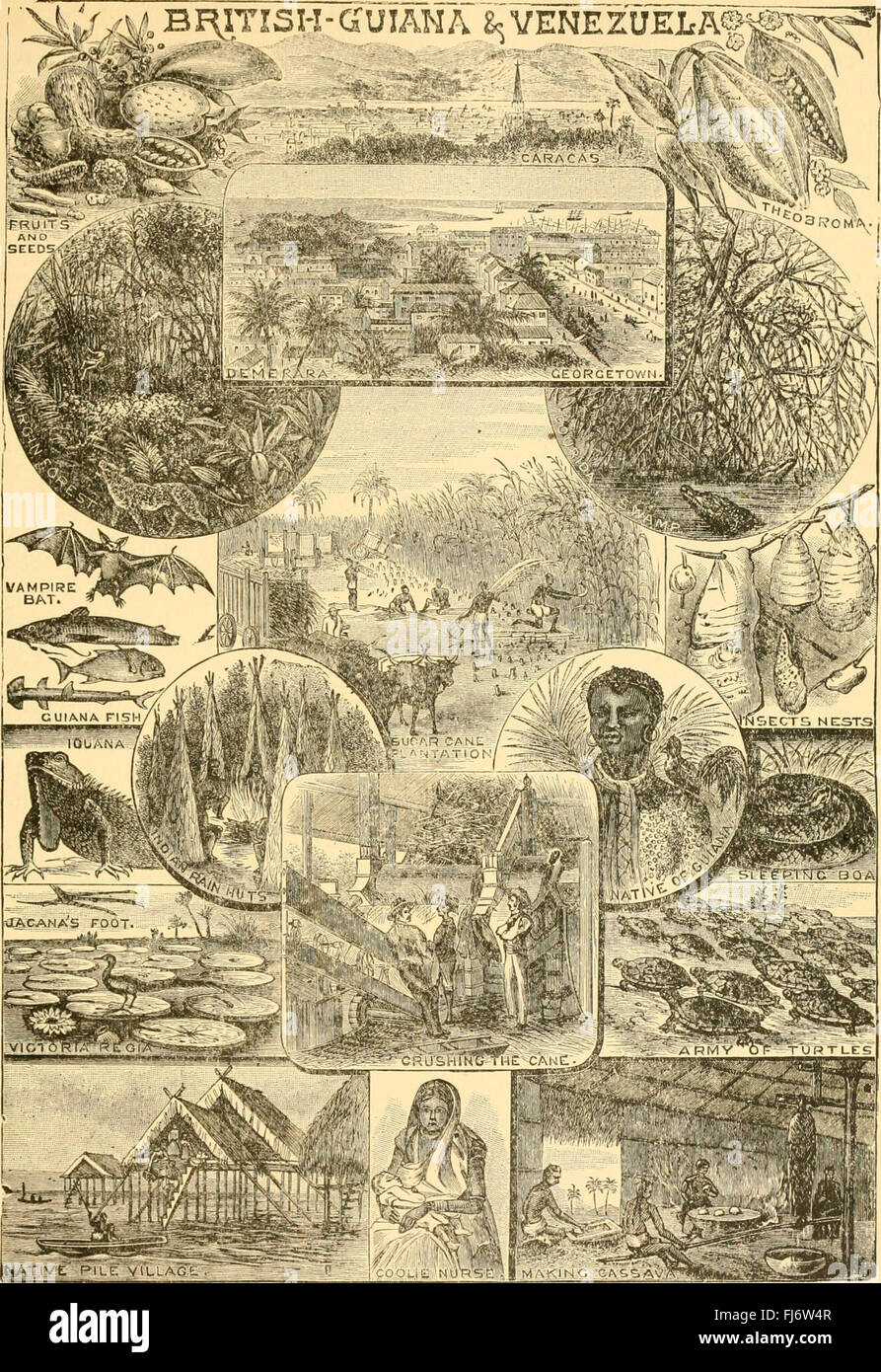 A historical account detailing the remarkable events, battles ...